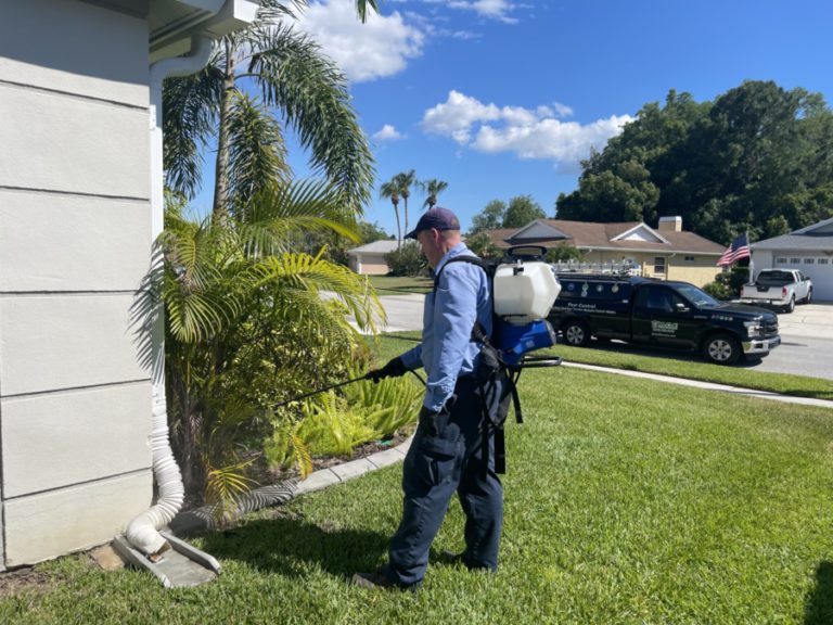 Blog - McCall Service | Northern FL Pest Control