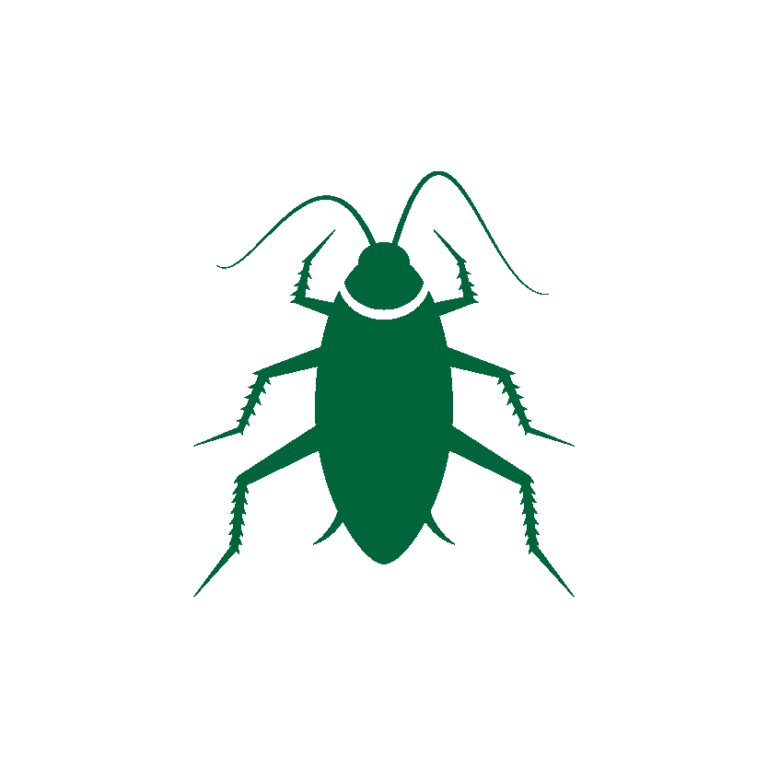 Best Florida Pest Control Near You - McCall Pest & Wildlife