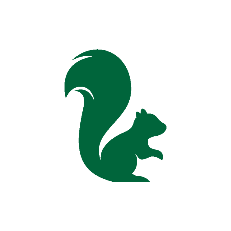 Best Florida Pest Control Near You - McCall Pest & Wildlife