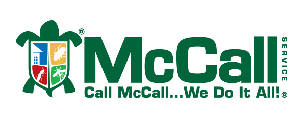 Sustainable Mosquito Control in Orlando - Green Pest Control