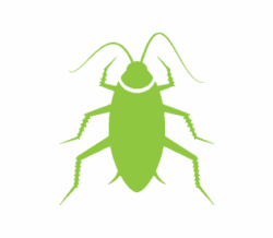 Pest Extermination Services in Florida: McCall Pest & Wildlife